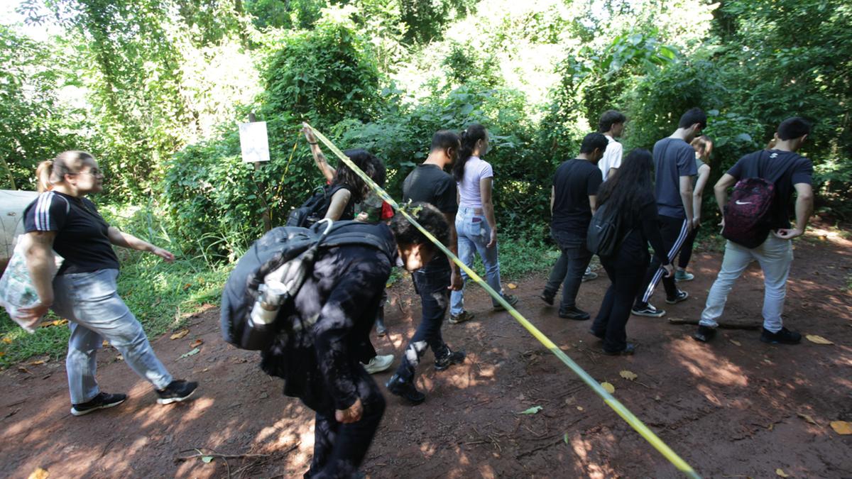 Mata de Santa Genebra vira laboratório de estudos a céu aberto